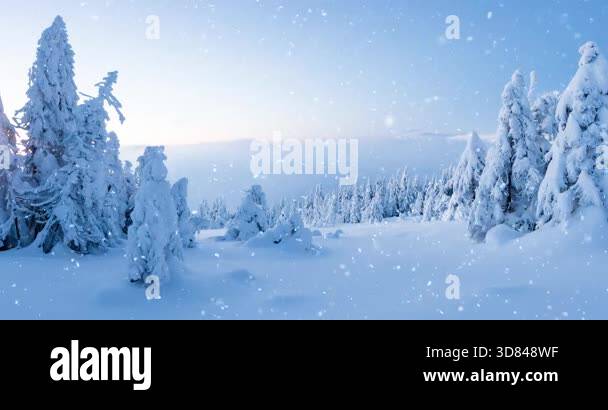 Snowflakes gently falling in slow motion create a peaceful and ...