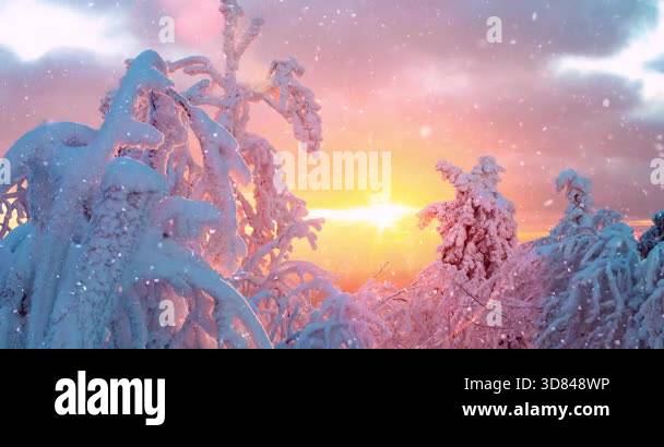 Snowflakes gently falling in slow motion create a peaceful and ...