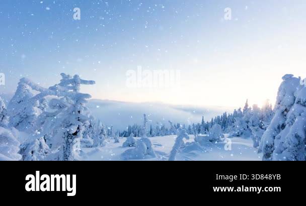 Snowflakes gently falling in slow motion create a peaceful and ...