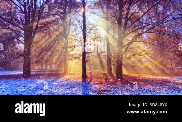 Snowflakes gently falling in slow motion in a atmospheric winter and ...