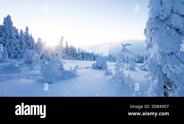 Snowflakes gently falling in slow motion create a peaceful and ...