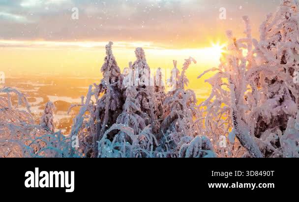 Snowflakes gently falling in slow motion create a peaceful and ...