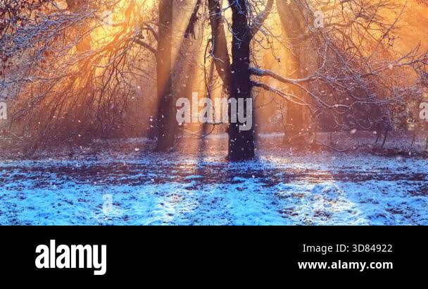 Snowflakes gently falling in slow motion in a atmospheric winter and ...