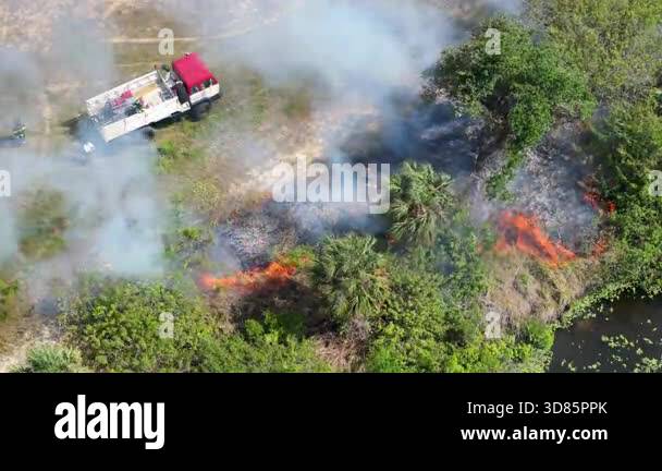 Scorching flames devour Florida forest vegetation during drought season ...
