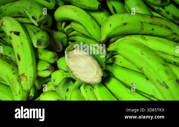 Handpicked stock Stock Videos & Footage - HD and 4K Video Clips - Alamy