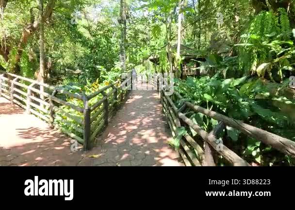 Zoo pathways Stock Videos & Footage - HD and 4K Video Clips - Alamy