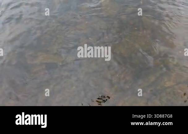 Clear water over rocks Stock Videos & Footage - HD and 4K Video Clips ...