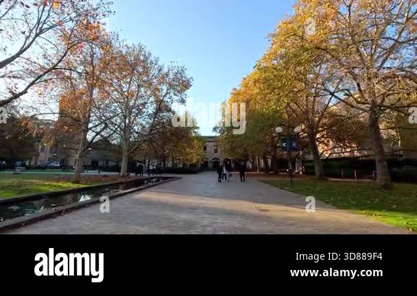 Students walking through campus on a sunny day Stock Video Footage - Alamy
