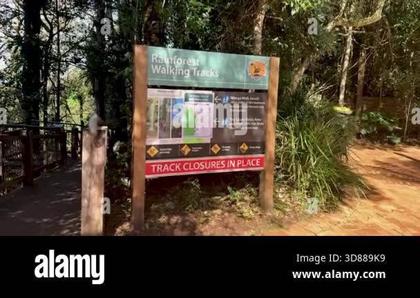 Camera moves past a rainforest walking track sign and continues along a ...