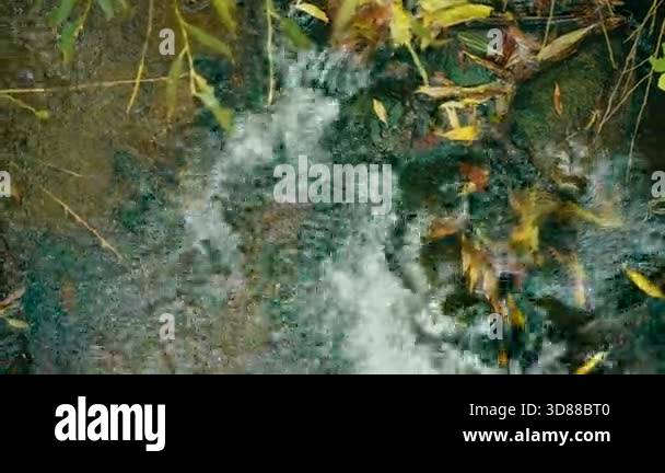Stream water swirling around mossy rocks. Shallow creek flow mixing ...
