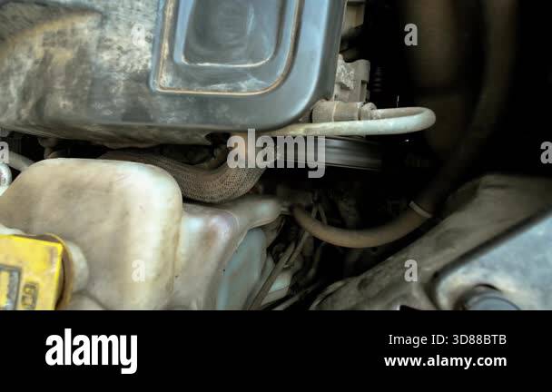 Dirty running engine spinning alternator and AC drive belt. Grimy motor ...