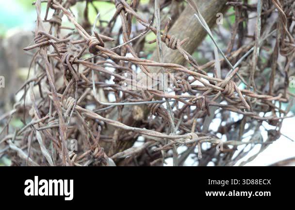 Close-Up Rusty Barbed Wire Fence Texture Old Metal Detail and Decay ...