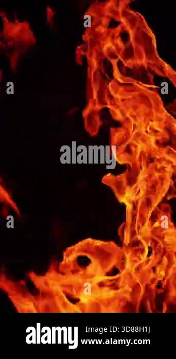 Hot fire flames twirling in the air. Long bonfire burning in the total ...