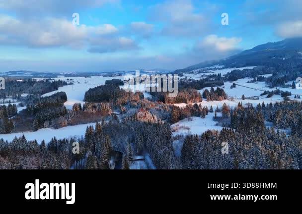 Snow-covered valley at the mountain foot with pine tree woods. Nature ...