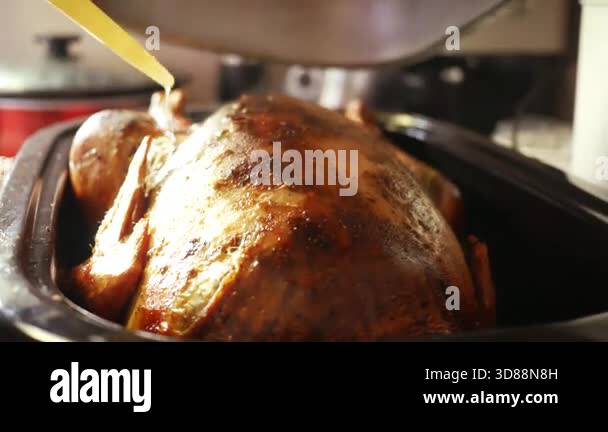 Holiday Feast Series - Basting a Cooked Turkey Stock Video Footage - Alamy