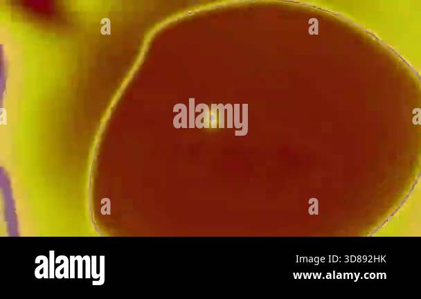 Abstract closeup image showing vibrant orange and yellow colors Stock ...