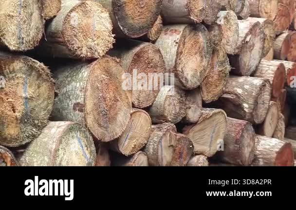 Explore this intricate close up featuring a neatly stacked pile of ...