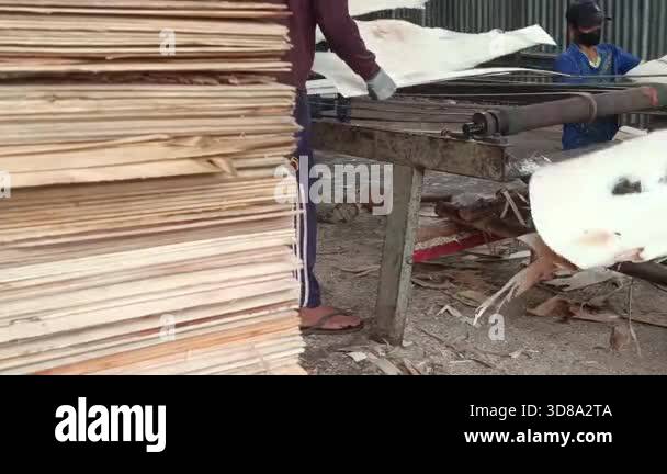 Plywood creation in a factory, Workers are shown carefully handling ...