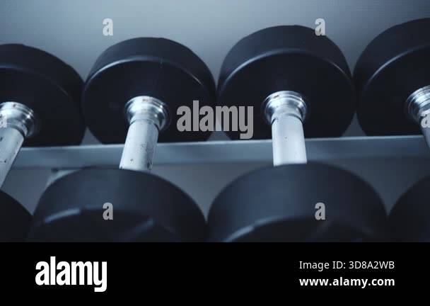 Dumbbells For Strength Training And Bodybuilding In The Gym On A Stand ...