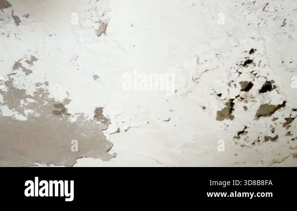 A close-up shot of a damaged wall with a crack and white mold and ...