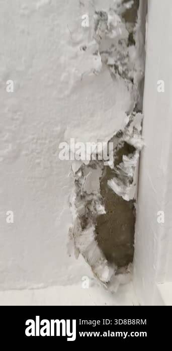 A close-up shot of a damaged wall with a crack and white mold and ...