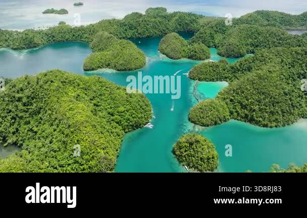 Turquoise channels weave between dense green islets with boats moving ...