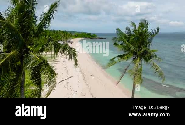 Carabao Island with coconut trees and white beach. Blue sky and clouds ...