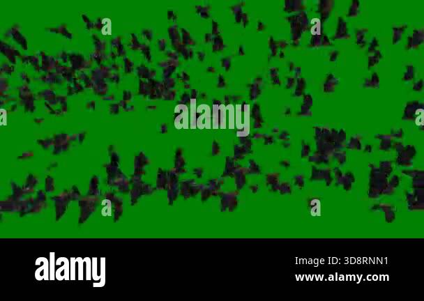 dark green vector texture with colored lines. decorative design on ...