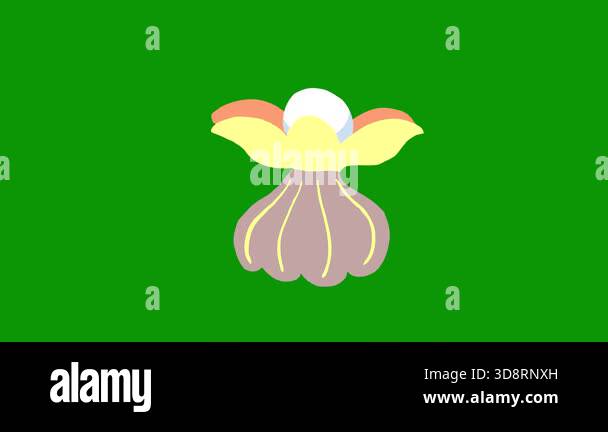 vector illustration of onion Stock Video Footage - Alamy