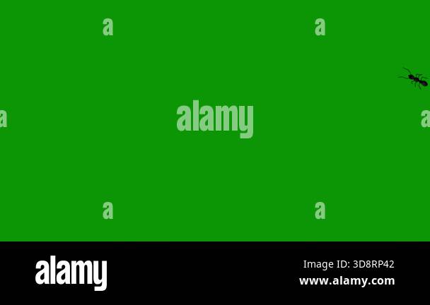 green grass texture seamless repeat. background for web and print Stock ...