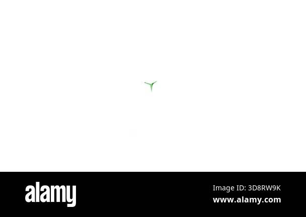 green leaf icon on white background Stock Video Footage - Alamy