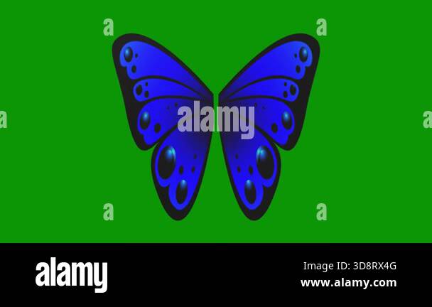 vector image of green butterfly on a blue background Stock Video ...