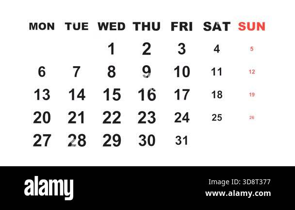 August 4, 2029, Animated 2026 planner showcasing August calendar ...