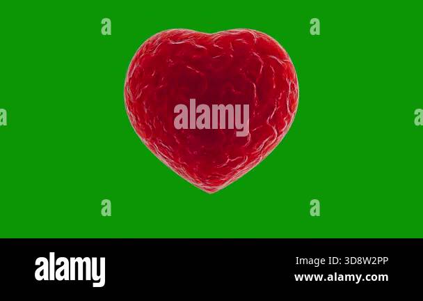 heart shape made of green fresh red pepper Stock Video Footage - Alamy