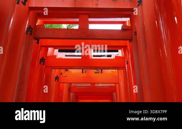 Iconic red pillars shrine Stock Videos & Footage - HD and 4K Video ...