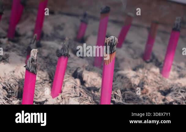 Bright pink incense sticks smolder in pale ash at a Tokyo temple. Close ...