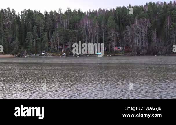 Natural water landscape with a calm lake, river or sea, and a dense ...