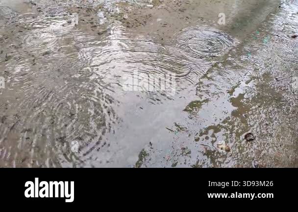 Rain drops on ground Stock Videos & Footage - HD and 4K Video Clips - Alamy