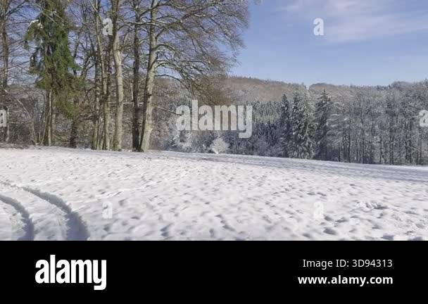 Forestry work tracks Stock Videos & Footage - HD and 4K Video Clips - Alamy