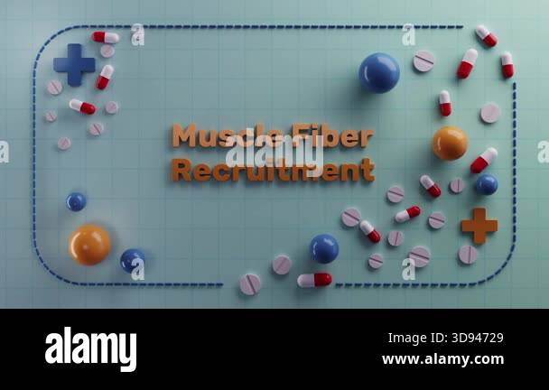 muscle activation illustration, colorful medical illustration with ...