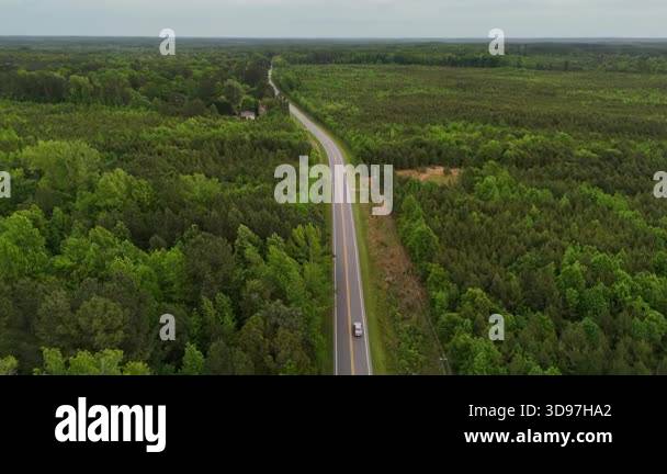 A car travels down a long forest road surrounded by lush green trees in ...