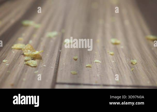 Look into the room Stock Videos & Footage - HD and 4K Video Clips - Alamy