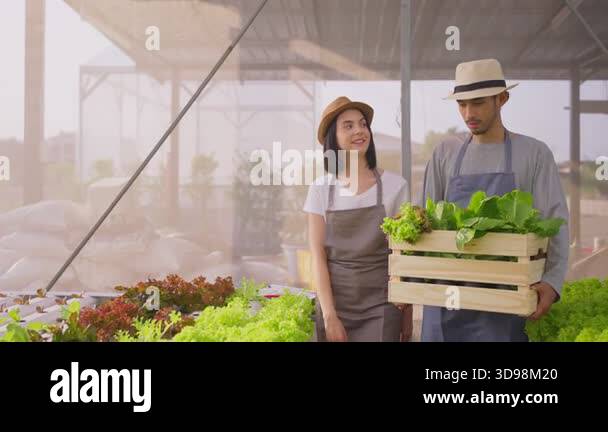Asian farmers couple work in vegetables hydroponic farm with happiness ...