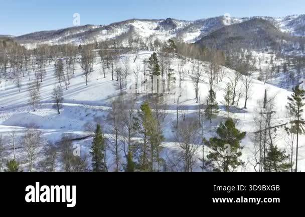 Snow-covered mountains rise above forests aerial perspective highlights ...