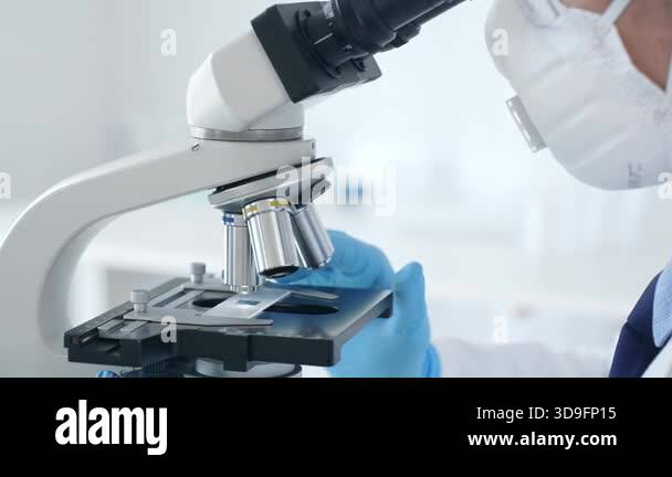 Scientific researcher wearing blue gloves carefully analyzing specimen ...
