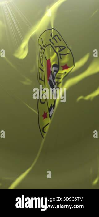 Flag of Cebu City, Philippines. Loop. 4K Vertical Stock Video Footage ...