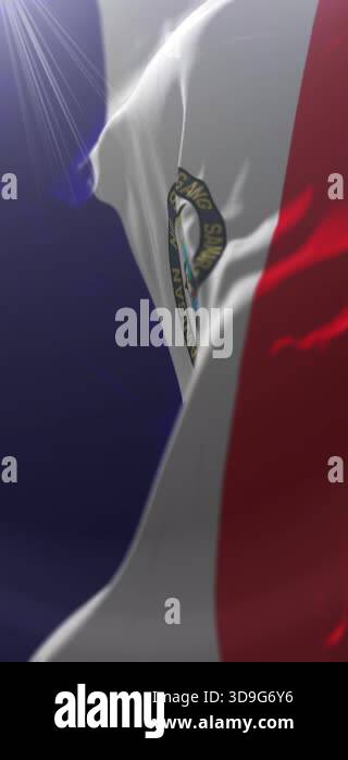 Flag of Eastern Samar Province, Philippines. Loop. 4K Vertical Stock ...