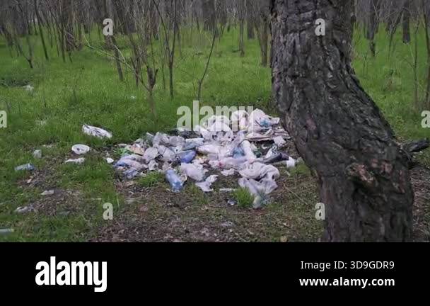 A large tree trunk stands in the foreground with a pile of plastic ...