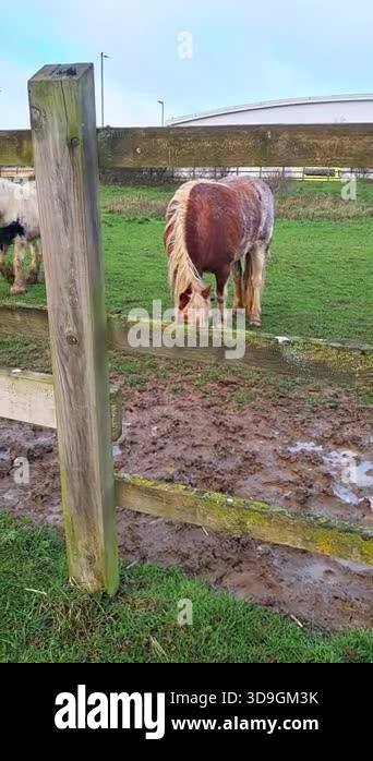 Enclosed farm england Stock Videos & Footage - HD and 4K Video Clips ...