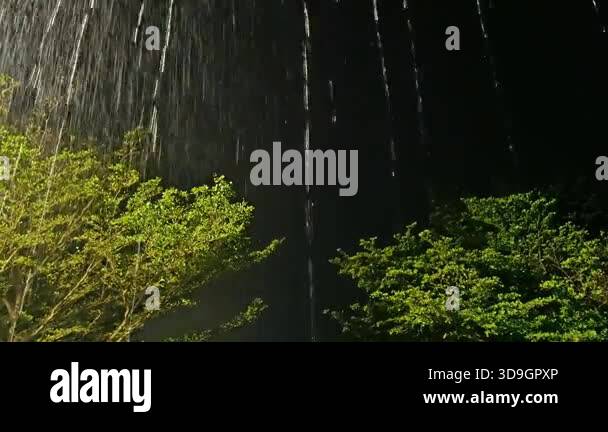Cinematic forest scene heavy rain Stock Videos & Footage - HD and 4K ...